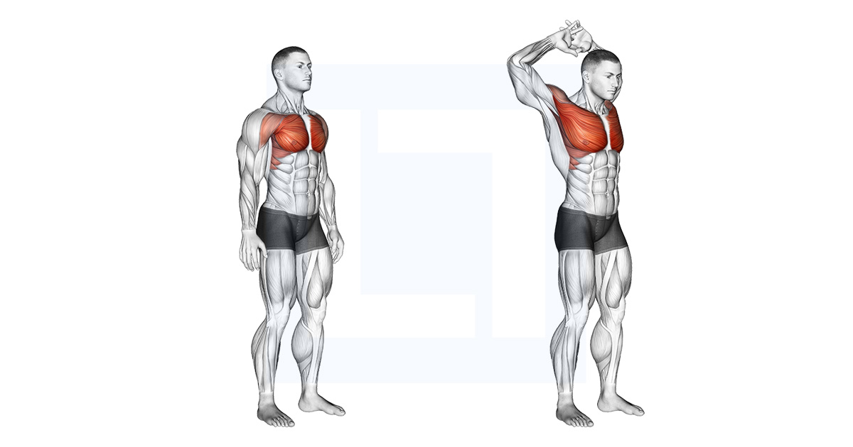 Negative Push up Guide Benefits And Form