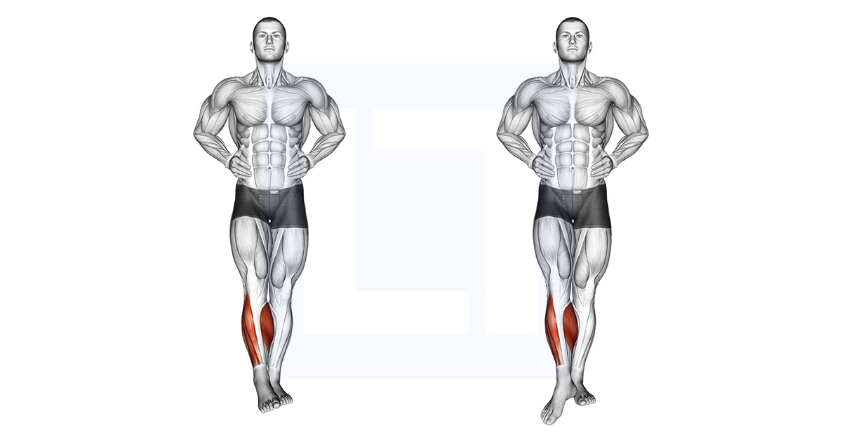 Forward Hops Guide Benefits And Form