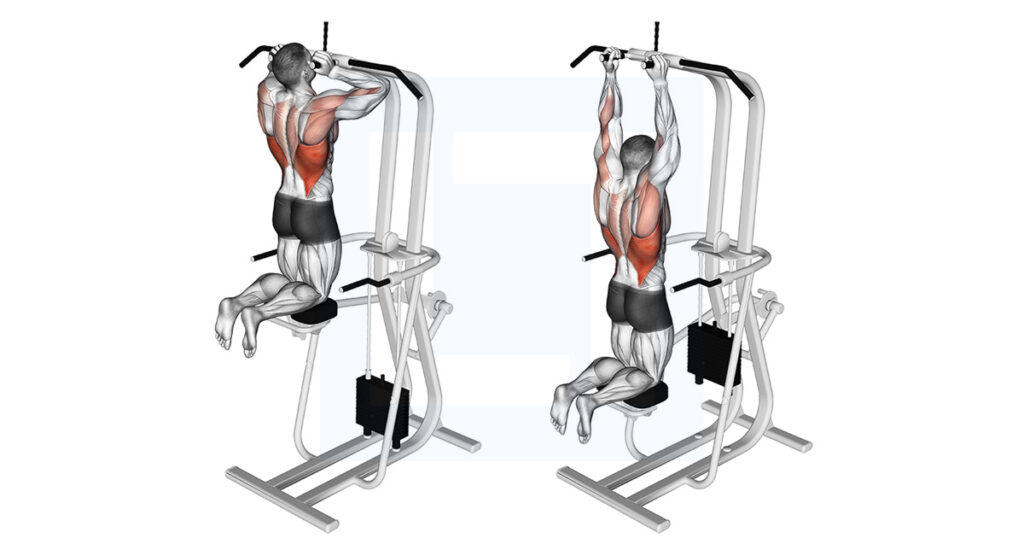 Barbell Pullover Guide Benefits And Form Barbell Pullover Guide Benefits And Form