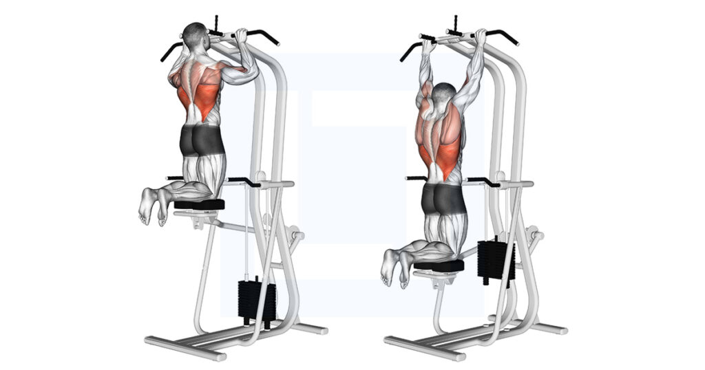 Barbell Pullover Guide Benefits And Form Barbell Pullover Guide Benefits And Form