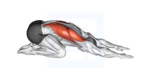 Back Stretch: Gentle Full Back Mobility