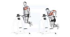 Band Assisted Dip - Guide, Benefits, and Form