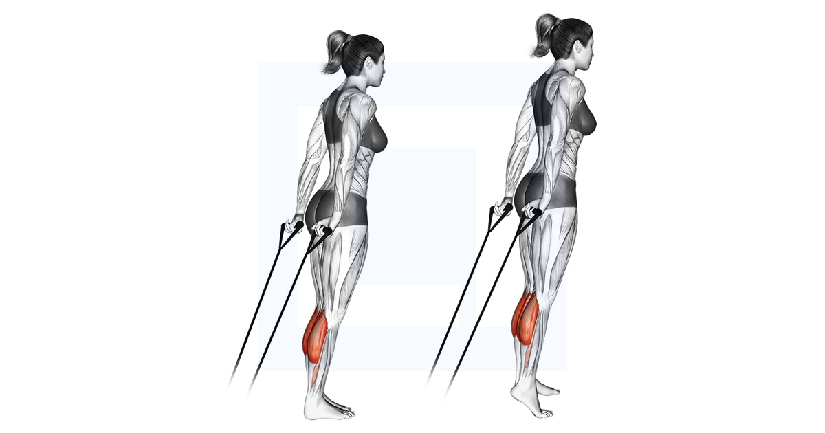 Forward Hops Guide Benefits And Form