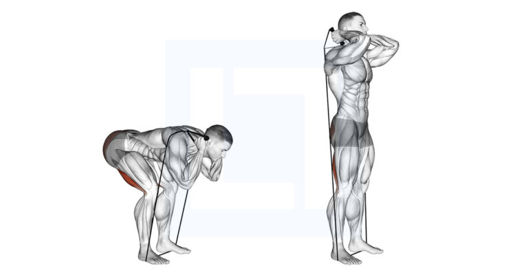 Resistance Band Bird Dog - Guide, Benefits, and Form
