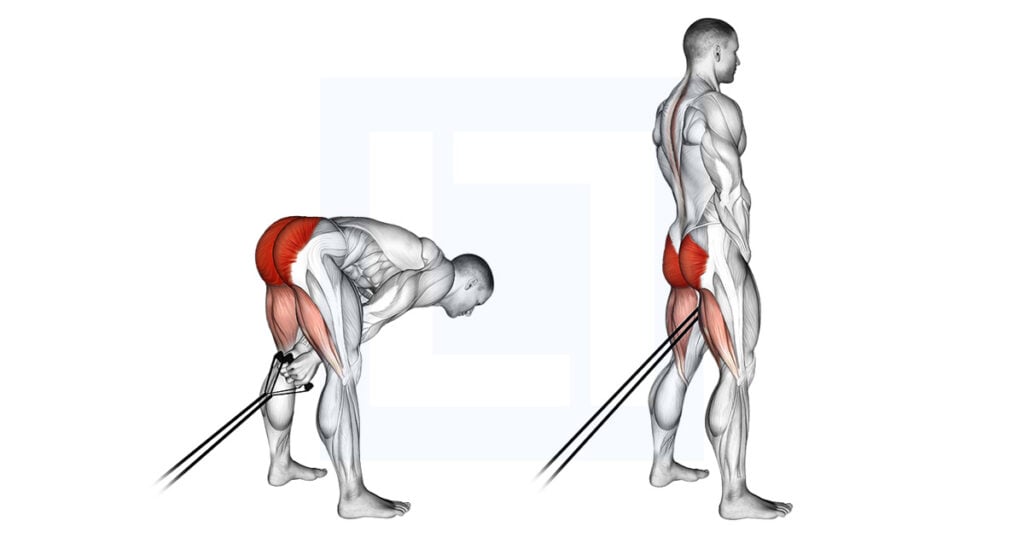 Resistance Band Seated Hip Abduction Guide Benefits And Form