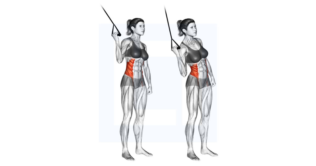 Seated Rotation Stretch: Spinal Twist for Mobility