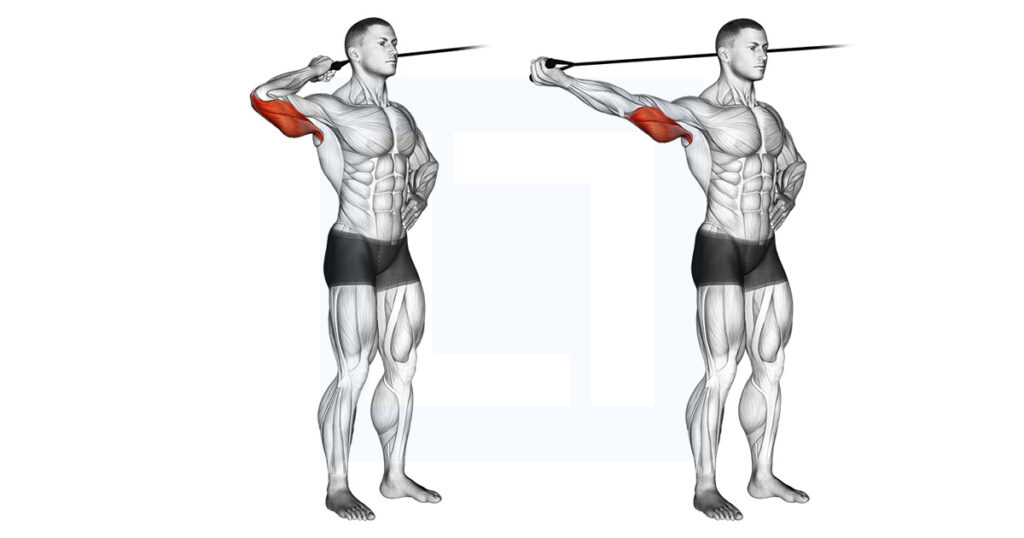 Band Overhead Tricep Extension: At-Home Tricep Builder