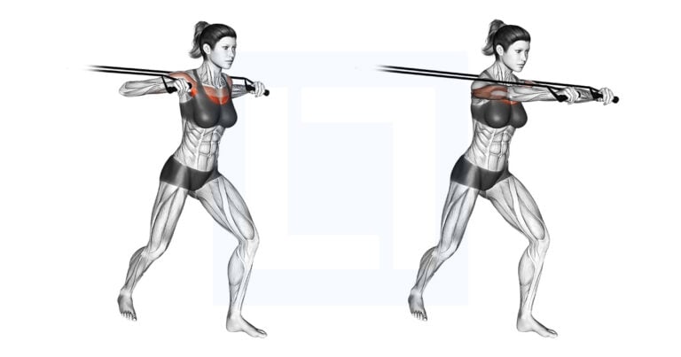 Cable Seated Chest Fly - Guide, Benefits, and Form