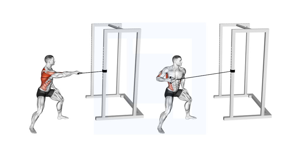 Band Twist: Standing Rotational Core Exercise