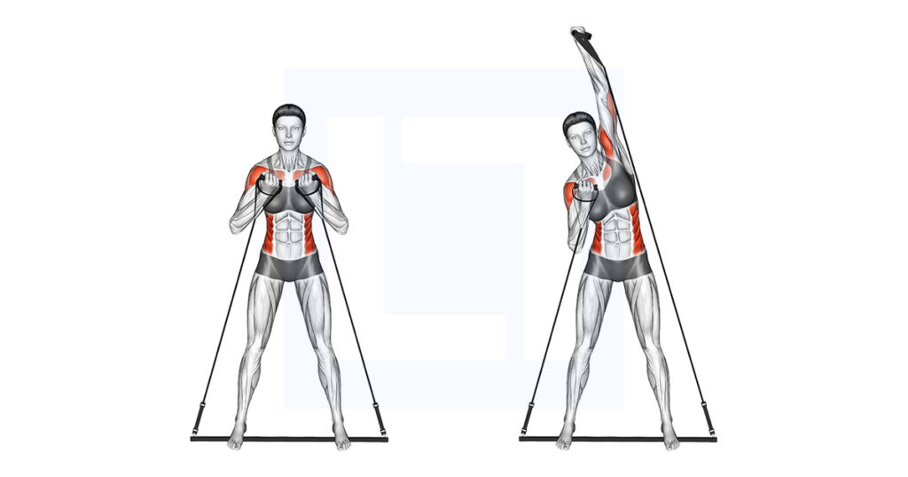 Scapula Elevation Depression: Shoulder Blade Mobility