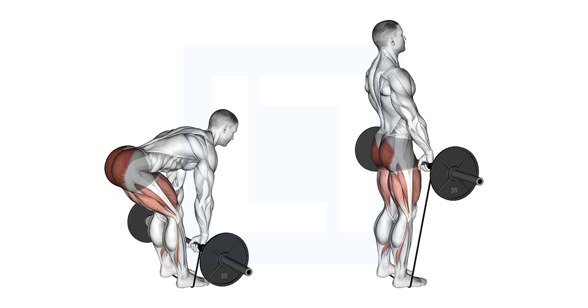 Band Hip Adduction Guide Benefits And Form
