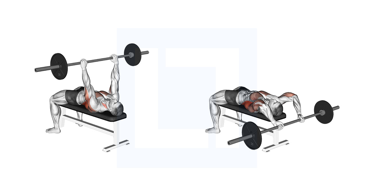 Dumbbell Straight Arm Pullover Guide Benefits And Form Dumbbell Straight Arm Pullover Guide Benefits And Form