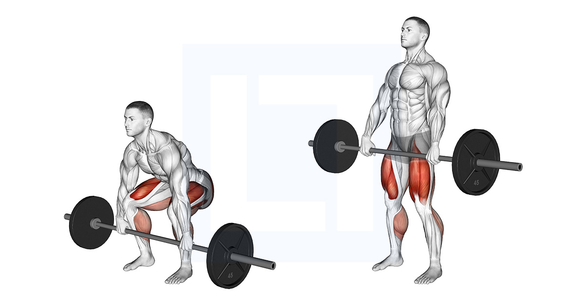 Jackknife Guide Benefits And Form Jackknife Guide Benefits And Form