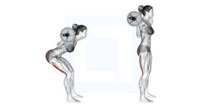 Barbell Good Morning: Form, Setup, and Lower-Back Safety