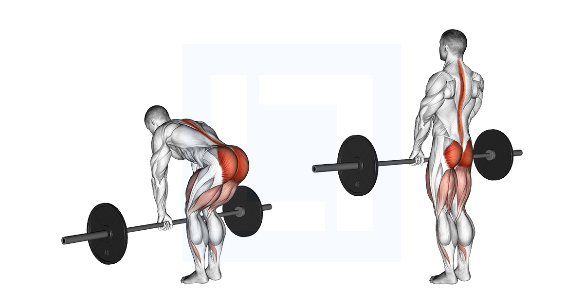 Hyperextension Guide Benefits And Form Hyperextension Guide Benefits And Form