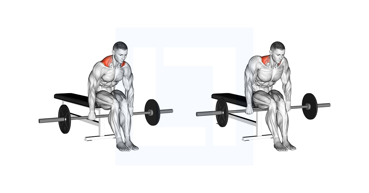 Weighted Inverted Row Guide Benefits And Form