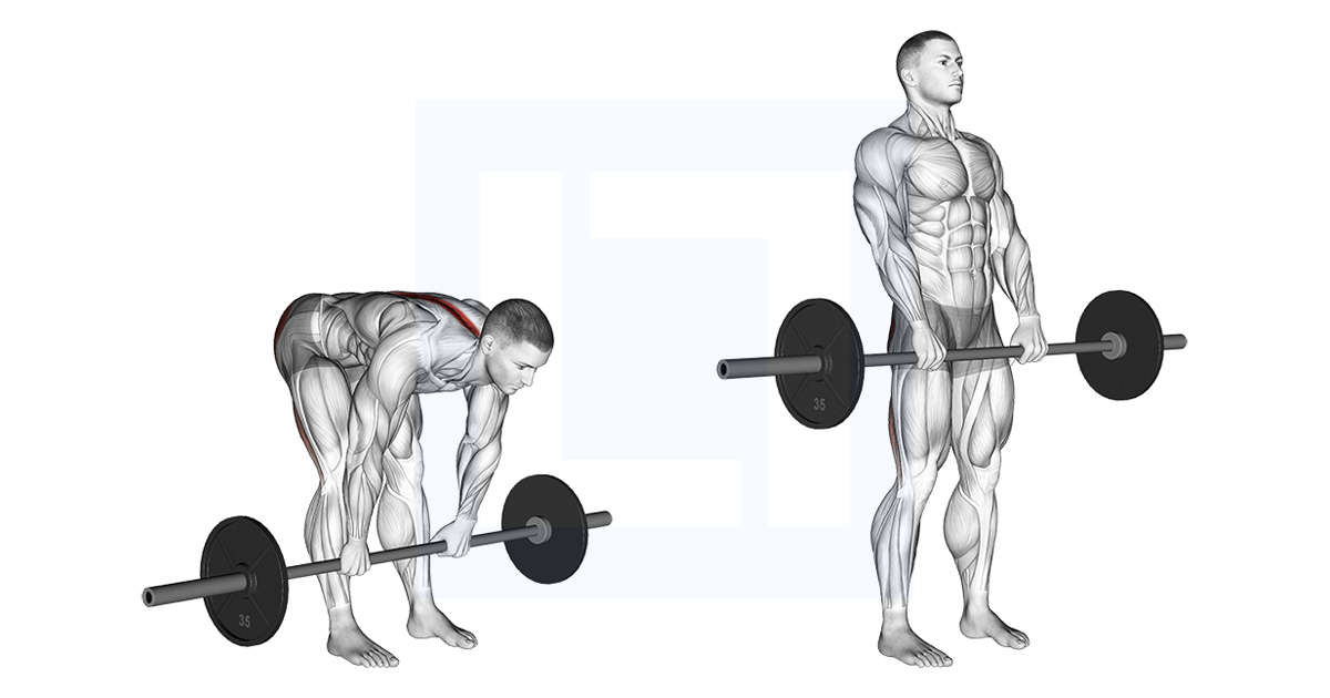 Push Press Guide Benefits And Form Push Press Guide Benefits And Form