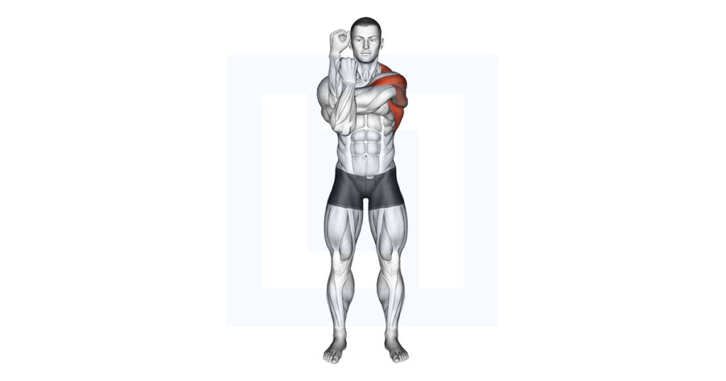 Lever Seated Shoulder Press Guide Benefits And Form Lever Seated Shoulder Press Guide Benefits And Form