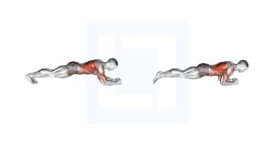 Front Plank - Guide, Benefits, and Form