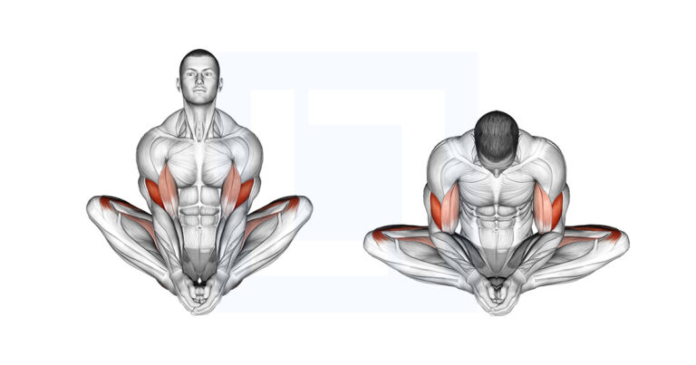 Butterfly Pose (Baddha Konasana): Hip and Groin Opener