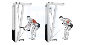 Cable Bent Over Row: Constant Tension Back Builder
