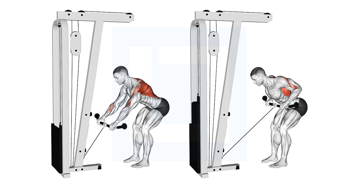 Suspended Row Guide Benefits And Form Suspended Row Guide Benefits And Form