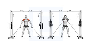 Cable Front Shoulder Raise: Cable Anterior Delt Raise