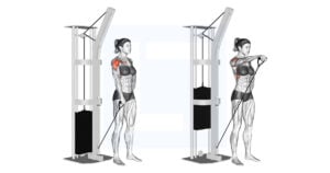 Cable Front Raise - Guide, Benefits, and Form