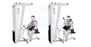 Cable Curl - Guide, Benefits, and Form