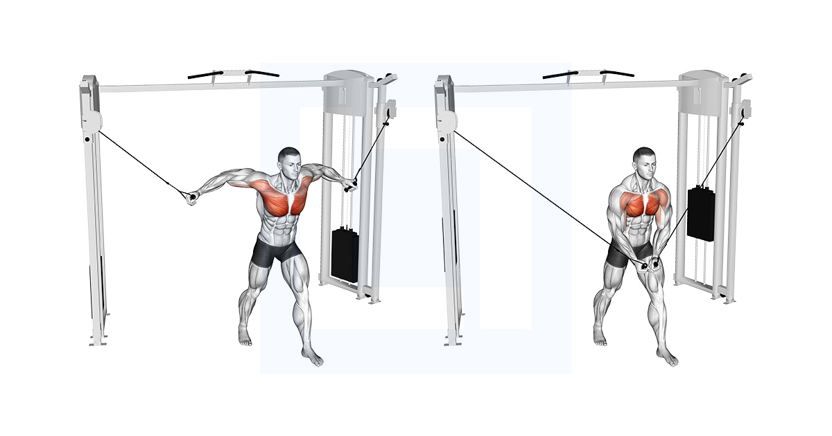Archer Push up Guide Benefits And Form