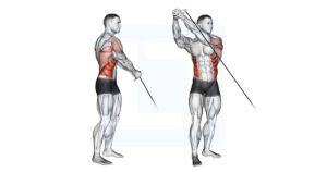 Cable Standing Crunch - Guide, Benefits, and Form