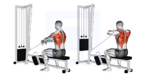 Cable Upper Row: High Cable Pulling Row