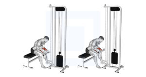 Cable Wrist Curl: Seated Cable Forearm Flexion