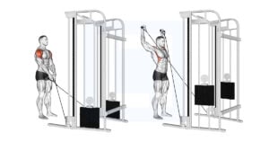 Cable Y Raise - Guide, Benefits, and Form