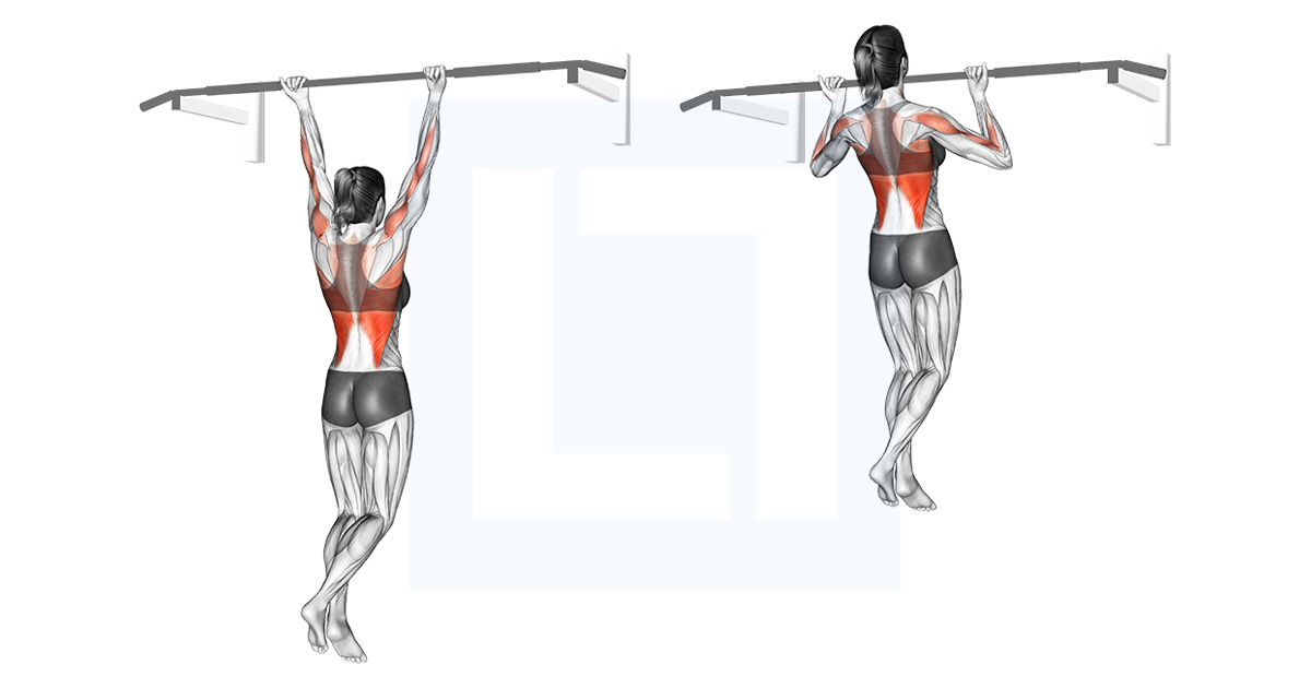 Commando Pull Up Guide Benefits And Form Commando Pull Up Guide Benefits And Form