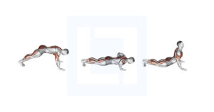 Archer Push-up - Guide, Benefits, and Form