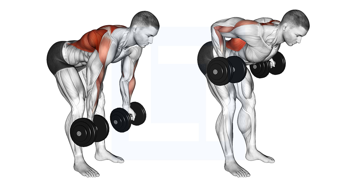Shoulder Circle Guide Benefits And Form