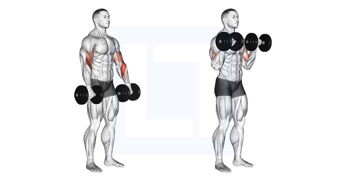 Dumbbell Biceps Curl Reverse Guide Benefits And Form