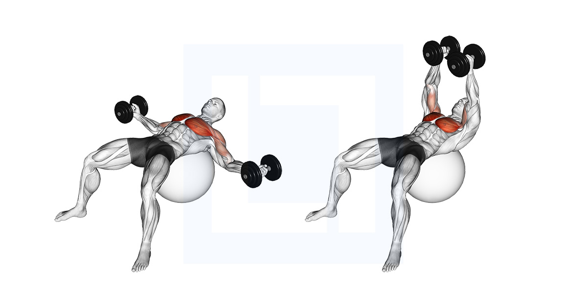 Dumbbell Fly Guide Benefits And Form