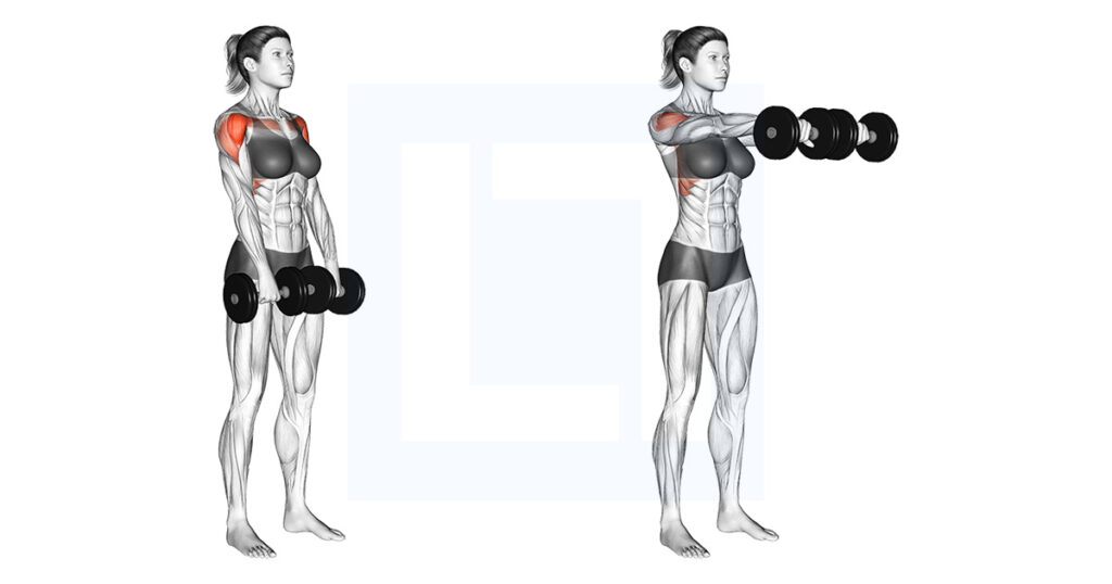 Dumbbell Z Press Guide Benefits And Form Dumbbell Z Press Guide Benefits And Form