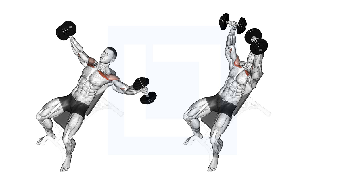 Archer Push up Guide Benefits And Form Archer Push up Guide Benefits And Form