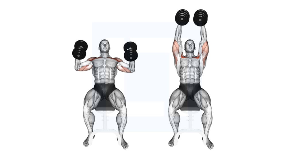 Dumbbell Lying on Floor Chest Press - Guide, Benefits, and Form Dumbbell Lying on Floor Chest Press - Guide, Benefits, and Form