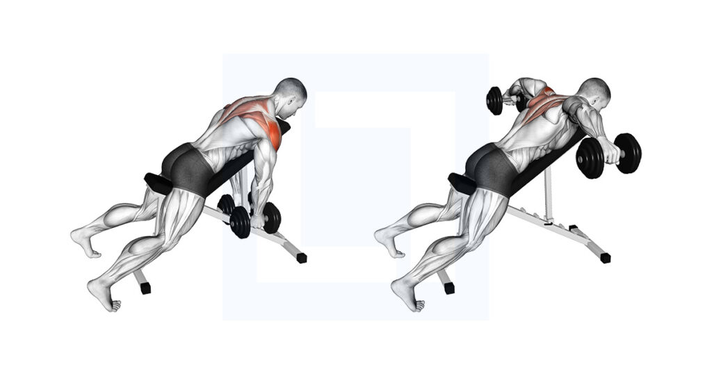 Dumbbell Swing Guide Benefits And Form
