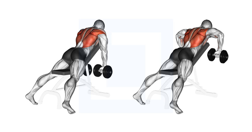 Suspended Row Guide Benefits And Form