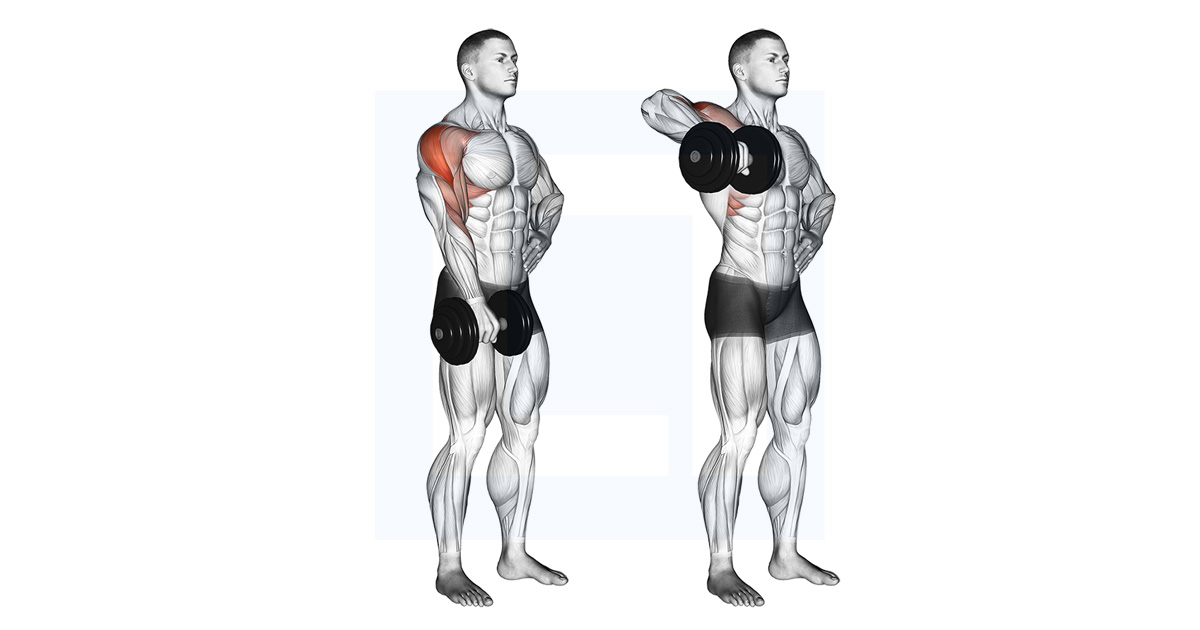 Dumbbell Cuban Press Guide Benefits And Form Dumbbell Cuban Press Guide Benefits And Form