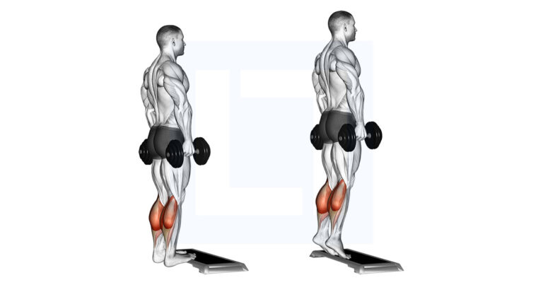 Dumbbell Standing Calf Raise: DB Loaded Calf Raise