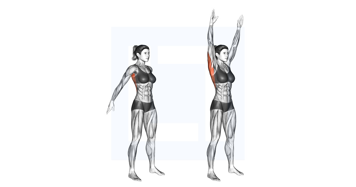 Dumbbell External Rotation Guide Benefits And Form