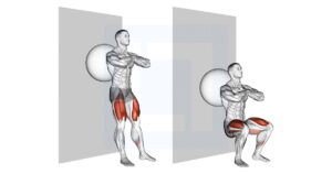 Exercise Ball Wall Squat: Stability Ball Wall Squat