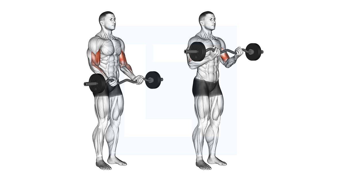 Dumbbell Tate Press Guide Benefits And Form Dumbbell Tate Press Guide Benefits And Form