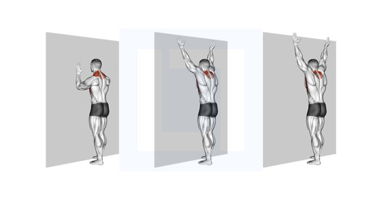 Cable Straight Arm Pulldown - Guide, Benefits, and Form